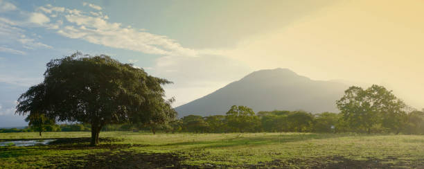 Free mount baluran stock photos. Download the best free mount baluran ...