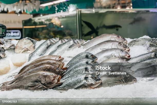 Bermacammacam Ikan Segar Di Atas Es Menampilkan Pasar Makanan Laut