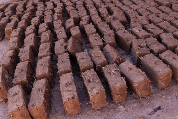 Free picture: Horizontal brick masonry wall with dry soil as mortar ...