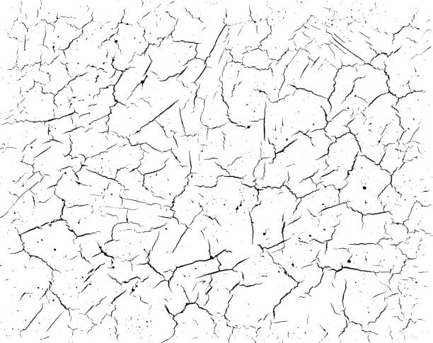 Crackle Texture Vector