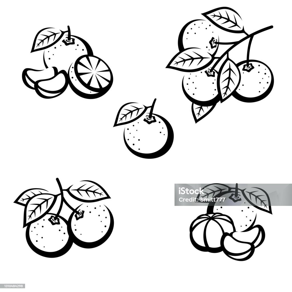 Mandalina Seti Koleksiyon Simgeleri Mandalina Vektör Stok Vektör Sanatı And Ağaç‘nin Daha Fazla