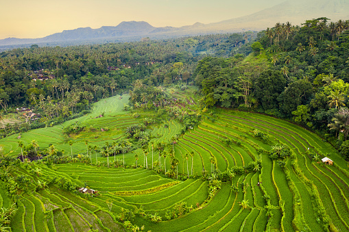 Matahari Terbit Di Atas Sawah Bali Gunung Dan Gunung Berapi Berada Di ... Matahari Terbit Di Atas Sawah Bali Gunung Dan Gunung Berapi Berada Di ...