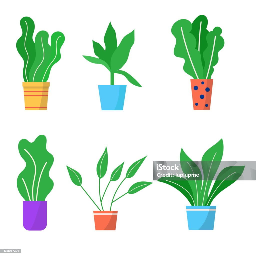 Flower Pot Set Vector Illustration Green Garden Plant In Flowerpot
