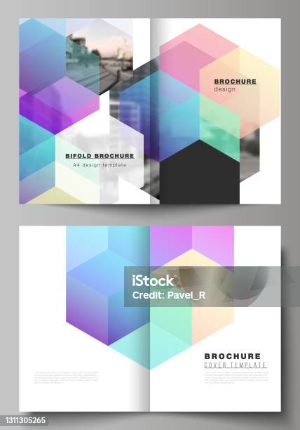Tata Letak Vektor Dari Dua Format Mockup Sampul Template Desain Dengan