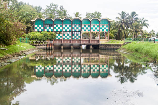 Paramaribo Pictures | Download Free Images on Unsplash