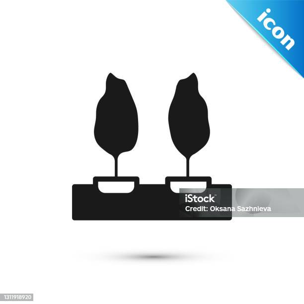 Graphisme Gris Darbres Disolement Sur Le Fond Blanc Symbole De Forêt