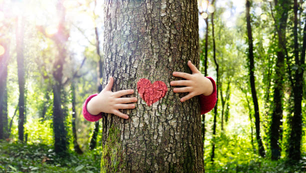 Love Tree Pictures | Download Free Images on Unsplash