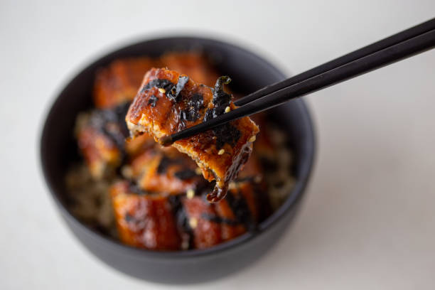 Unagi Pictures | Download Free Images on Unsplash
