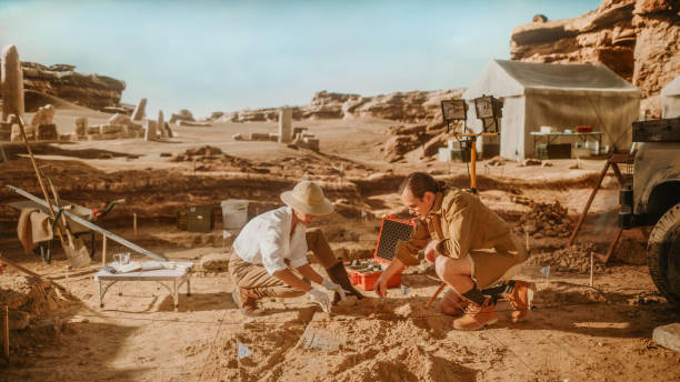 Archeologist Pictures | Download Free Images on Unsplash