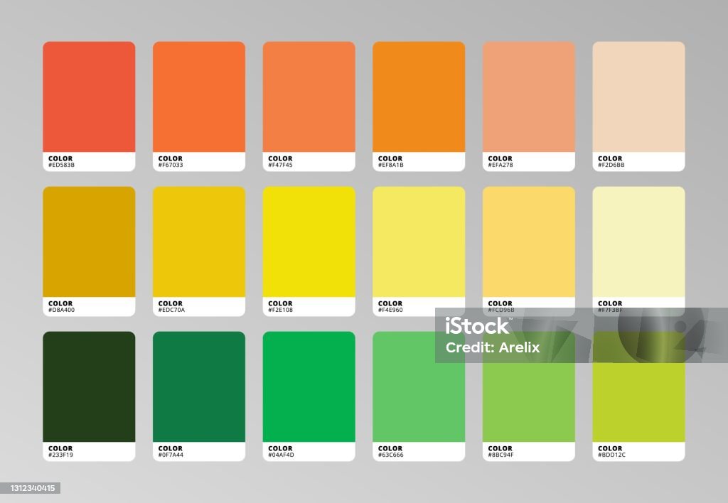 Set Swatch Palet Warna Modern Sampel Katalog Warna Hijau Kuning Oranye