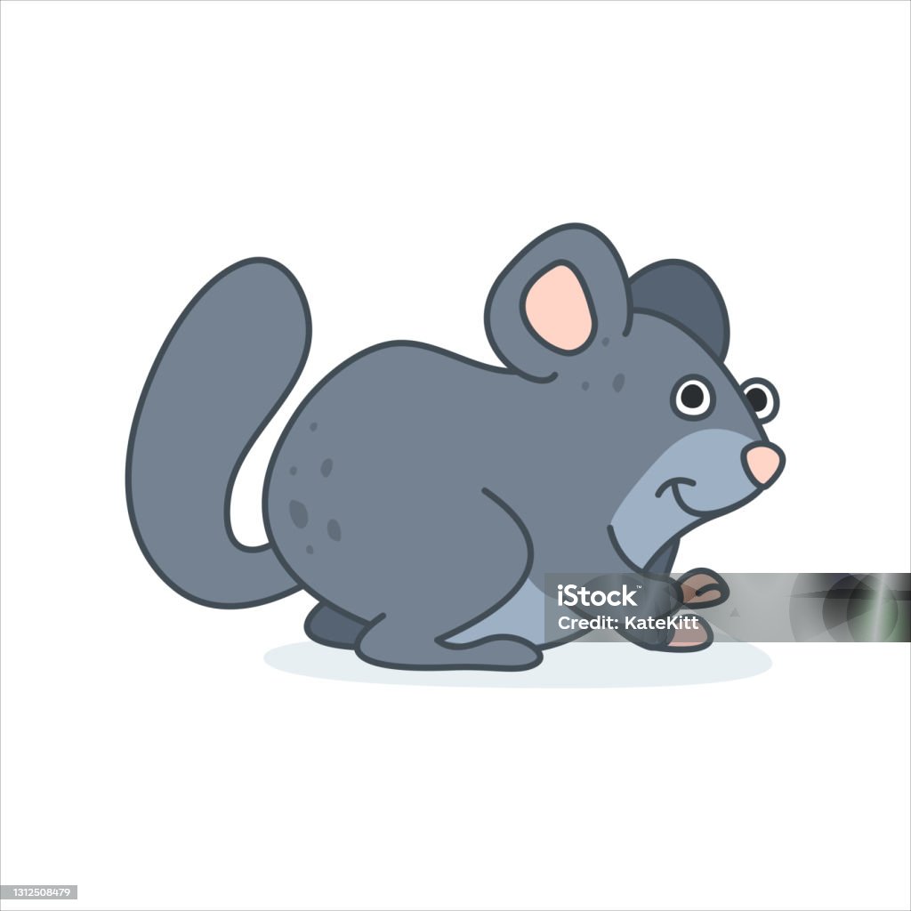 Caractère Drôle De Chinchilla Dans Le Modèle De Dessin Animé Graphisme