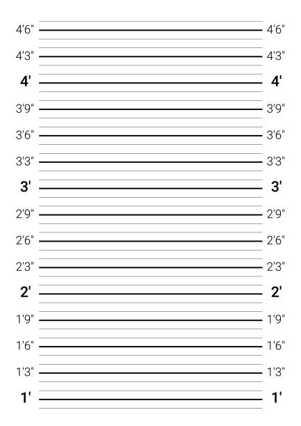 50 Jail Height Chart Stock Illustrations Royalty Free Vector Graphics And Clip Art Istock