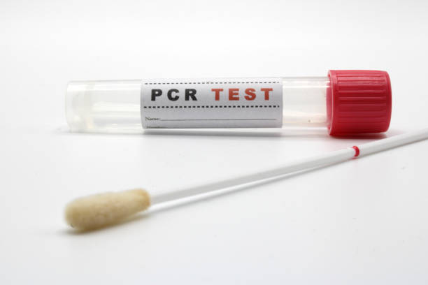 Pcr Test Pictures | Download Free Images on Unsplash