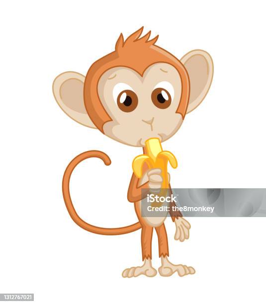 Ilustrasi Kartun Warnawarni Monyet Lucu Lucu Vektor Simpanse Kecil