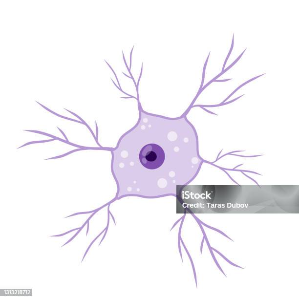 Blue Neuron Cell Brain Activity And Dendrites Scientific Cartoon