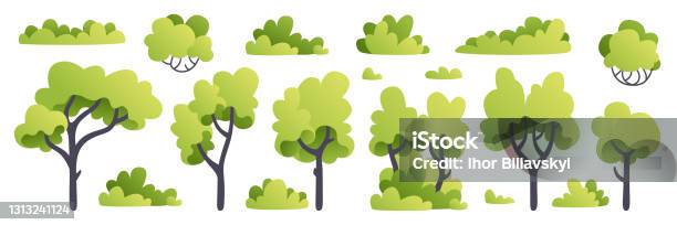 Ensemble Darbres Plantes Isolées Fond De Forêt Couleur Verte Conception