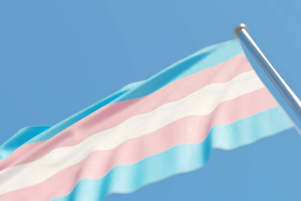 Trans Flag Pictures | Download Free Images on Unsplash