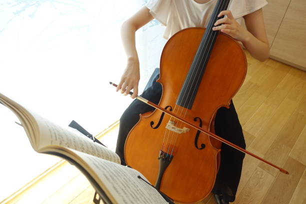 Cello Player Pictures | Download Free Images on Unsplash