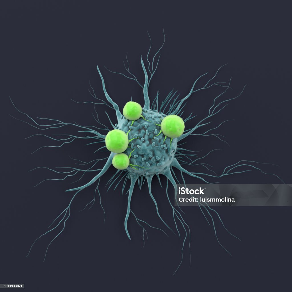 Cancer Cell Attacked By Lymphocytes Stock Photo - Download Image Now ... Cancer Cell Attacked By Lymphocytes Stock Photo - Download Image Now ...