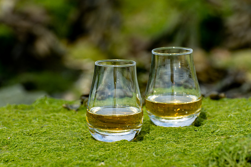 Mencicipi Single Malt Atau Wiski Scotch Campuran Dan Dasar Laut Saat ... Mencicipi Single Malt Atau Wiski Scotch Campuran Dan Dasar Laut Saat ...