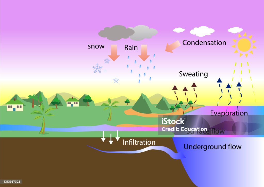 Cycle De Leau Lévaporation Et La Pluie Le Soleil Qui Conduit Le Cycle
