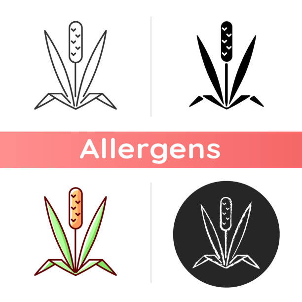 40 Timothy Grass Clip Art Stock Illustrations Royalty Free Vector Graphics And Clip Art Istock