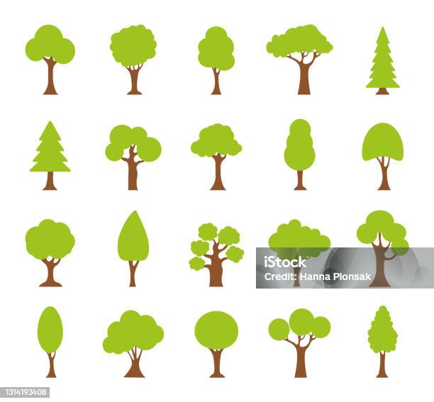 Ensemble Darbres Plats Collection Dicônes Darbres Verts Illustration