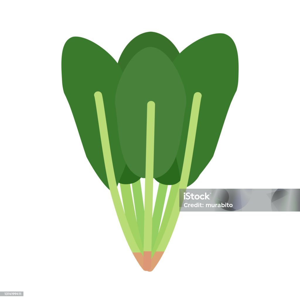 Vetores de Clipart De Espinafre Simples Design Plano e mais imagens de ... Vetores de Clipart De Espinafre Simples Design Plano e mais imagens de ...