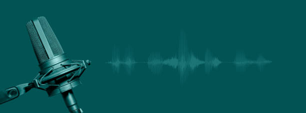 Podcast Mic Pictures | Download Free Images on Unsplash