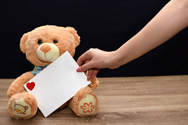 Free picture: sweat, girl, teddy, bear, toy