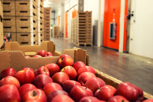 Food Distribution Pictures | Download Free Images on Unsplash
