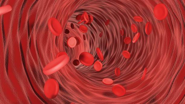 Free bloodstream stock photos. Download the best free bloodstream ...