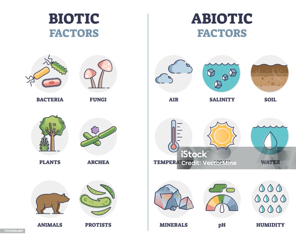 Ecologia Plantel 20 Factores Bioticos Y Abioticos Images | Porn Sex Picture Ecologia Plantel 20 Factores Bioticos Y Abioticos Images | Porn Sex Picture