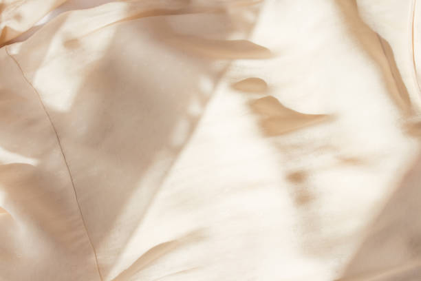 750+ Beige Pictures [HD] | Download Free Images on Unsplash