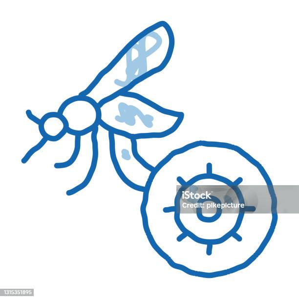Illustration Dessinée À La Main Dicône De Doodle De Moustique De