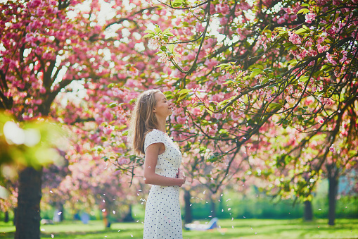 Young Woman Enjoying Her Walk In Park During Cherry Blossom Season On A