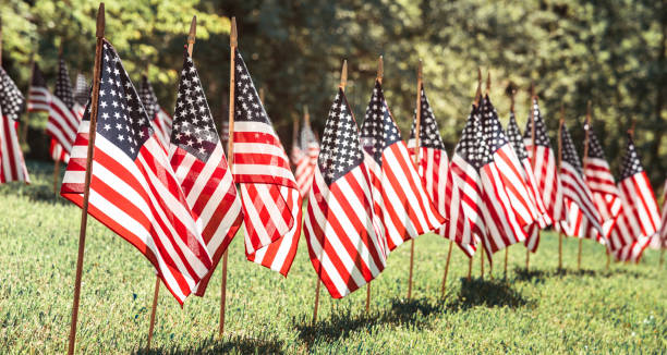 1000 Memorial Day Pictures Download Free Images On Unsplash