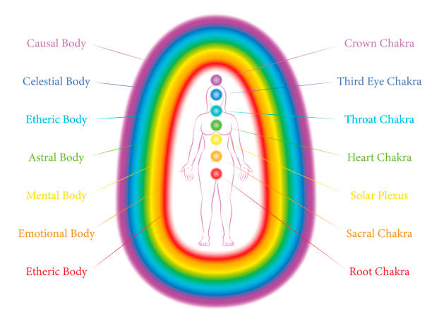 Seven main chakras and corresponding aura layers of a standing woman ...