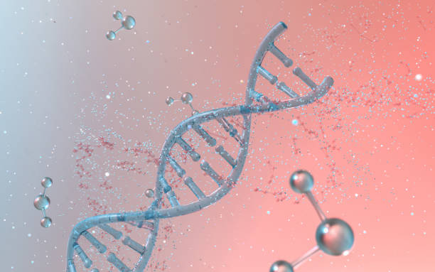 480+ Gene Inheritance Stock Photos, Pictures & Royalty-Free Images - iStock 480+ Gene Inheritance Stock Photos, Pictures & Royalty-Free Images - iStock