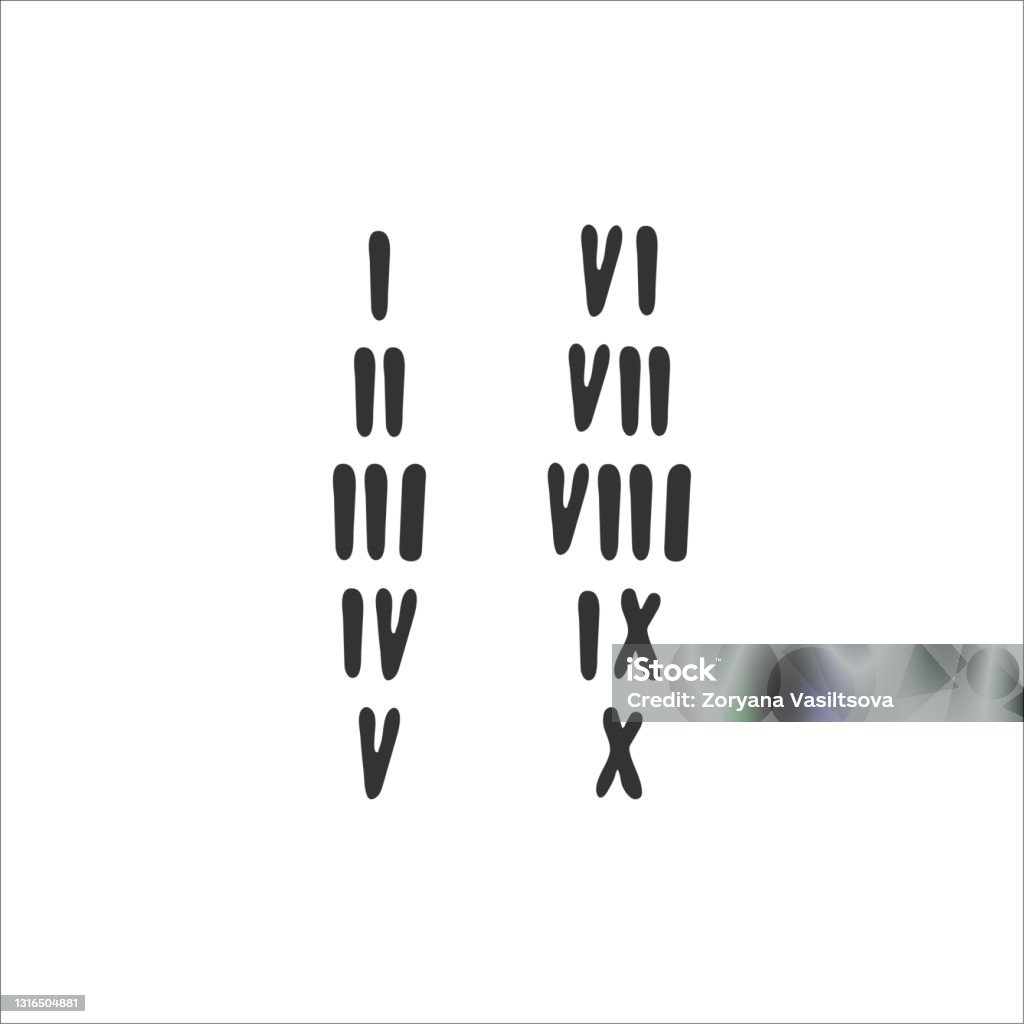 Handdrawn Roman Numerals Isolated On A White Background Numbers Up To ... Handdrawn Roman Numerals Isolated On A White Background Numbers Up To ...