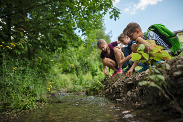 Free picture: young kids, learning, nature, river