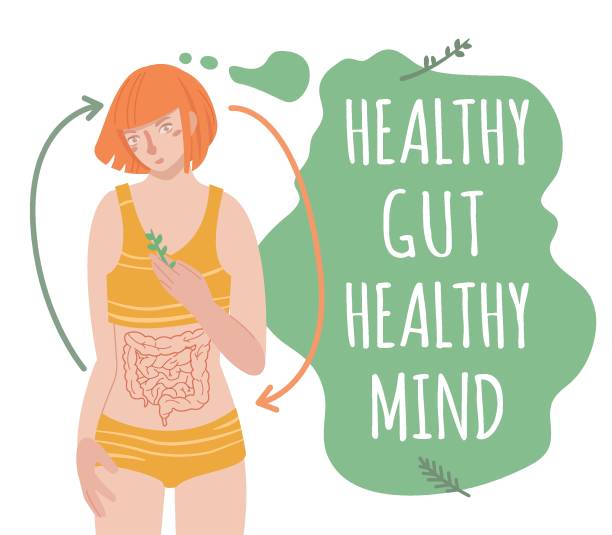 470 Healthy Microbiome Illustrations Royalty Free Vector Graphics