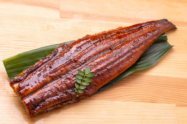 Unagi Pictures | Download Free Images on Unsplash