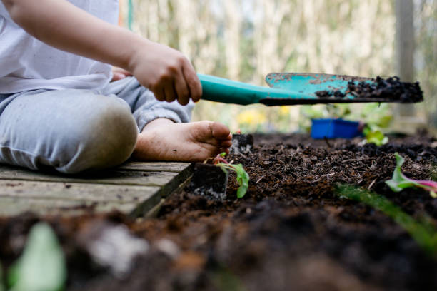Garten Pictures | Download Free Images on Unsplash