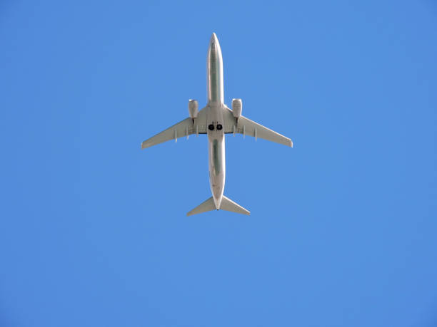 Free Stock Photo of Airplane viewed from below flying against clear ...