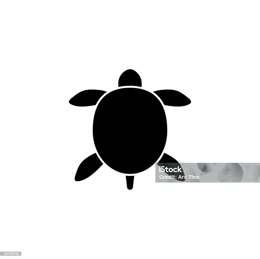 Tortue De Mer Tortue Reptile Amphibien Illustration Plate Dicône De