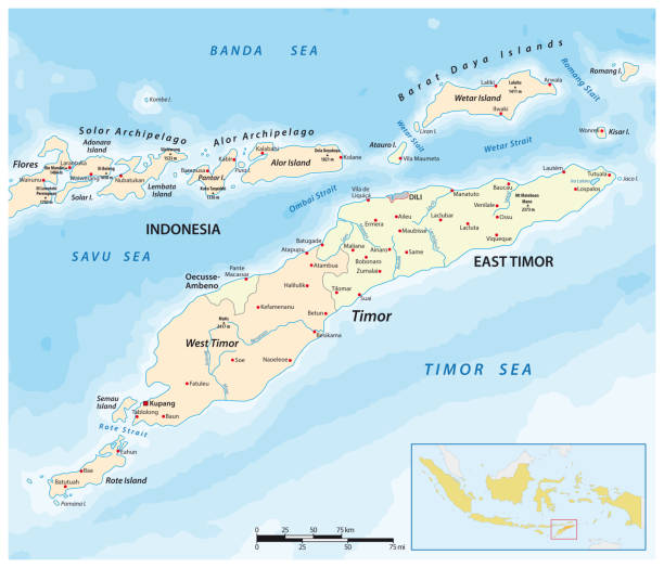 Timor Occidental Vectoriels Et Illustrations Libres De Droits Istock
