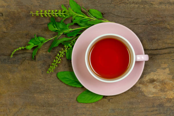 Tulsi Plant Pictures | Download Free Images on Unsplash