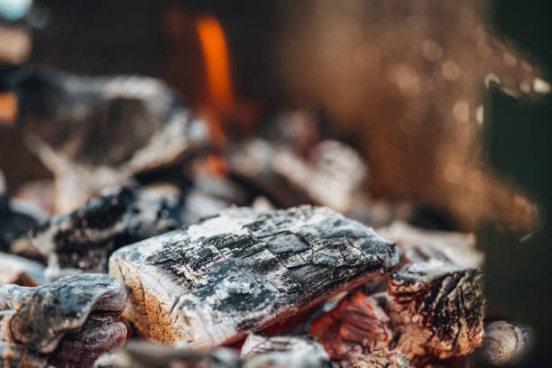 Embers Pictures | Download Free Images & Stock Photos on Unsplash