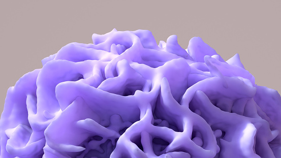 Macrophage Devouring A Cancer Cell Immune Cells Capable Of Physically